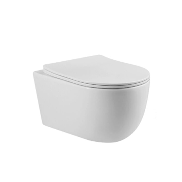 VAS WC SUSPENDAT+CAPAC B-2211 - Evora Center