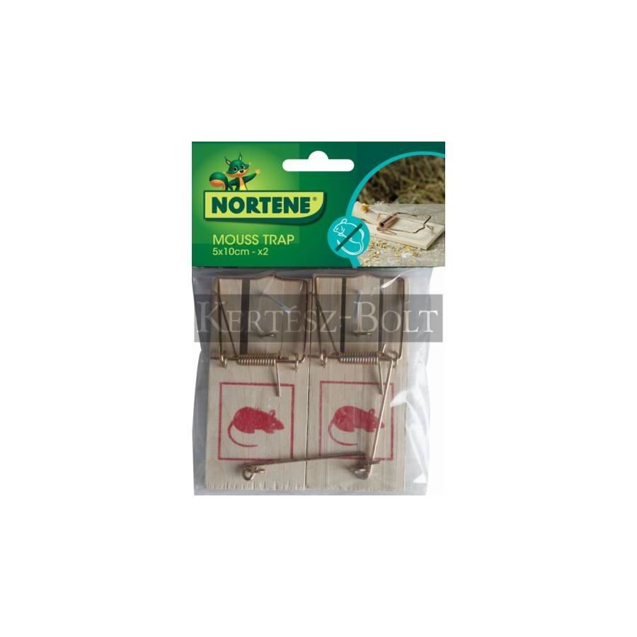 CURSA SOARECI 5095187 Nortene - Evora Center